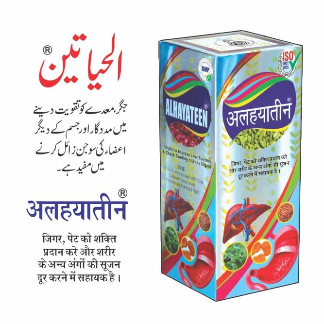 Sadar Alhayateen Syrup 500 Best For Hepatitis & Gastritis - HERBALKART